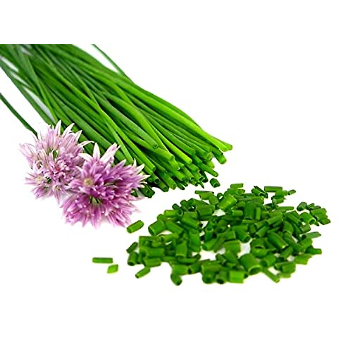 Chives Allium Schoenoprasum Wild Onion Wild Garlic Herb Garden Seeds for Planting About 100 Seeds