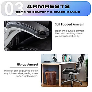 COLAMY Ergonomic Home Office Chair-Adjustable Lumbar Support for Extra Comfort, High Back Design with Padded Flip-up Arms for Adult Working, Study, Gaming (Black), 1 PC