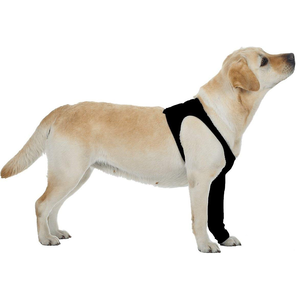 Suitical Recovery Sleeve for Dogs | Front Leg Protection After Surgery | Dog Leg Sleeve to Stop Licking | Machine Washable | Chest Circumference 25.2”- 33.1” | Sleeve Length 13.8” | L | Single Sleeve