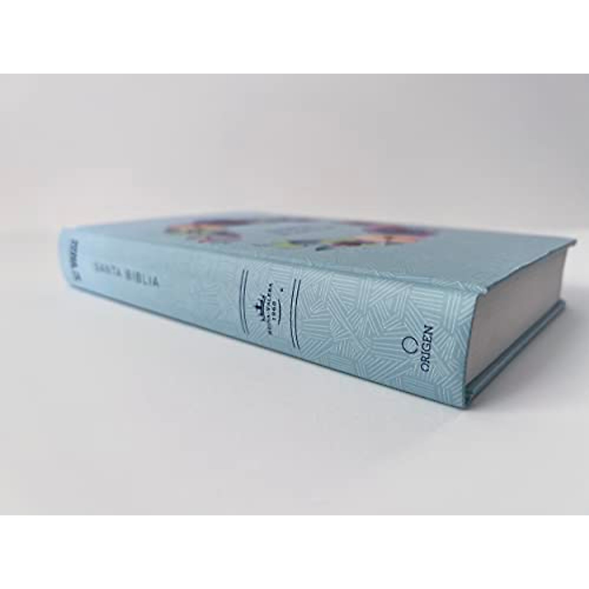 Biblia RVR 1960 letra grande, manual, tapa dura con nombres de Dios, flores azul / Spanish Bible RVR 1960 Handy Size, LP, HC with Names of God, blue flowers