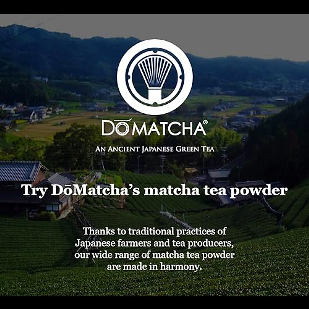 DoMatcha, Organic Summer Harvest Matcha Powder, Authentic Japanese Green Tea, Latte Grade, 2.82 oz