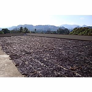 25 Tahitian Extract Grade B Vanilla Beans 4~6" by Vanilla Products USA