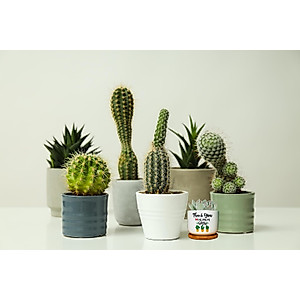 Teacher Appreciation Gifts for Women Men, Unique Teacher Week End of Year from Student, Best for Christmas Valentine Retirement Ideas, Personalized Thank You Present