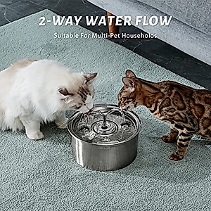DOOOB Cat Water Fountain, 3.2L/108OZ Stainless Steel Pet Water Dispenser Automatic Metal Dog Drinking Bowl with 3 Replacement Filters Ultra-Quiet Pump and Waterproof Food Mats