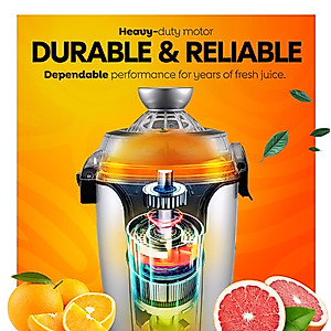 Eurolux Hands-Free Electric Citrus Juicer Machine, Orange Lime Grapefruit Lemon Squeezer, Easy to Clean.