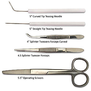 Dissection Kit - 20 Pieces for Anatomy Biology Lab Experiment with Scalpel Blades, Two Pairs Large Gloves, and Organizer Storage Case
