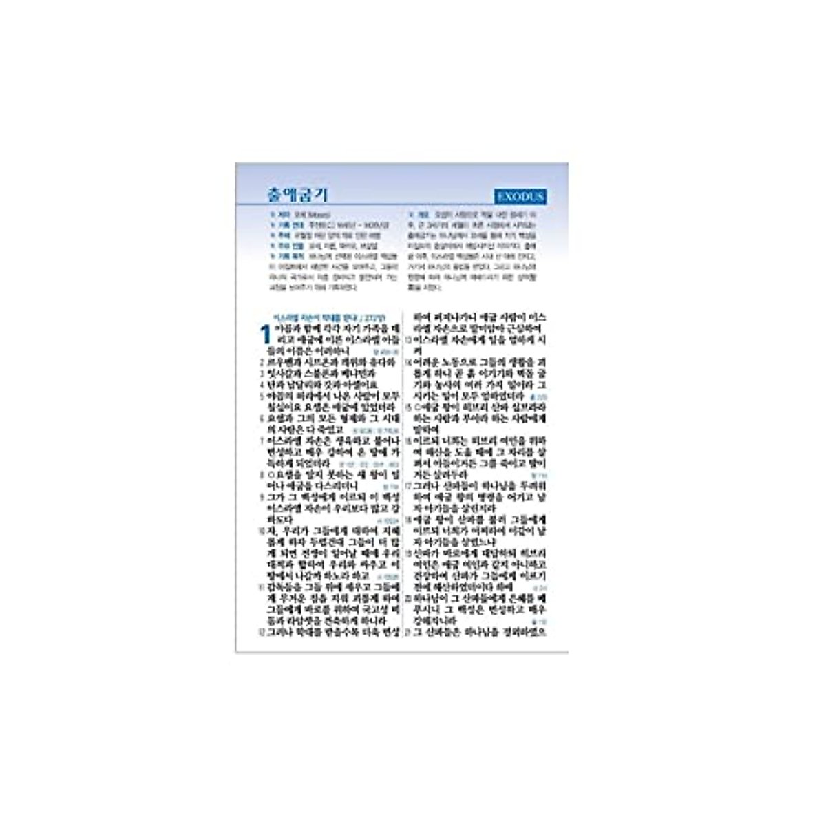 Big Letter Korean Bible Middle size zipper Index 큰글자 성경전서 초코 새찬송가 지퍼 색인 중 사이즈