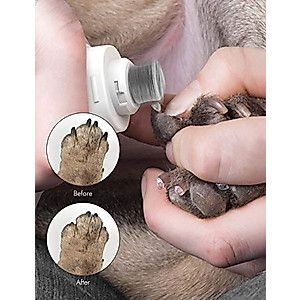 PETLIBRO Dog Nail Grinder - Rechargeable Low Noise Pet Nail Grinder for Dogs Professional 2 Speed Electric Pet Nail Trimmer Painless Paws Grooming Dog Nail Clippers for Small Medium Large Dogs & Cats