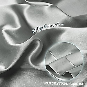 KINMEROOM Satin Pillowcase for Hair and Skin, Light Gray Pillowcases 2 Pack, Queen Size Pillow Cases Set of 2, Luxury and Soft Satin Pillow Covers with Envelope Closure (20x30 Inches)