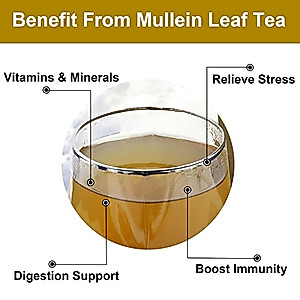 FullChea - Mullein Leaf Tea Bags, 20 Teabags, 3g/bag - Natural Mullein Tea Bags For Lungs - Non-GMO - Caffeine-free - Natural Healthy Herbal Tea For Detox & Respiratory Support