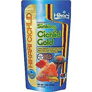 Hikari 2.2-Pound Sinking Cichlid Gold Pellets for Pets, Mini