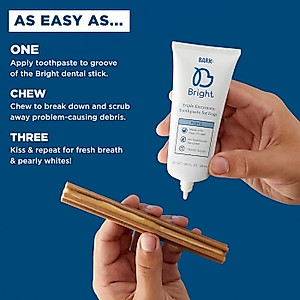 Bark BARK Bright Large Dental Kit for Dogs, 26.29 oz,31 Piece Set