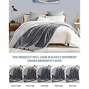 Lynnlov Large 3 Layers Flannel Fleece Throw Blanket Twin Size 60" x 80", Decorative Soft Thick Microfiber Plush Blanket, Luxury Comfy Cozy Velvet Winter Warm Blankets,Washable & Breathable,Grey