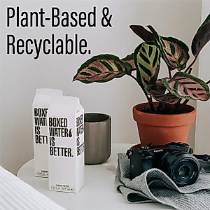Boxed Water 16.9 oz. (12 Pack) – Purified Drinking Water in 92% Plant- Based Boxes – 100% Recyclable, BPA-Free, Refillable/Reusable Cartons – More Sustainable than Plastic Bottled Water
