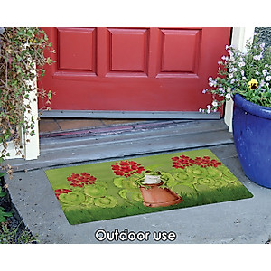 Toland Home Garden 800050 Potted Frog Spring Door Mat 18x30 Inch Summer Outdoor Doormat for Entryway Indoor Entrance