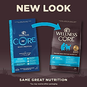 Wellness CORE Wholesome Grains Ocean Recipe, 22 Pound Bag