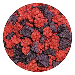 Crunchez Berry Blend - Crunchy Fruit Flavored Treat Bites - Sugar Gliders, Squirrels, Marmosets, Prairie Dogs, Hamsters, Chinchillas, Exotic Birds, Rabbits, Guinea Pigs, Degus, Small Pets… (2.5 oz.)