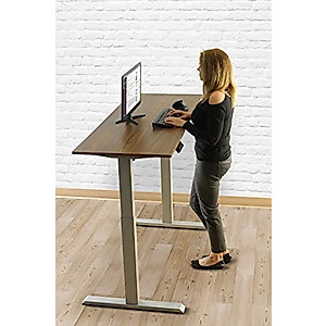 TechOrbits Electric Standing Desk Frame 60 x 24 Inch Tabletop - Motorized Workstation Two Leg Stand Up Desk with Memory Settings and Telescopic Sit Stand Height Adjustment (Grey Frame/Wood Top)