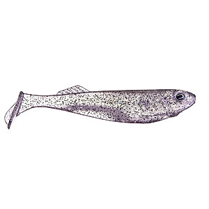 Prodigy Swimbait Purple Reign 4.1"