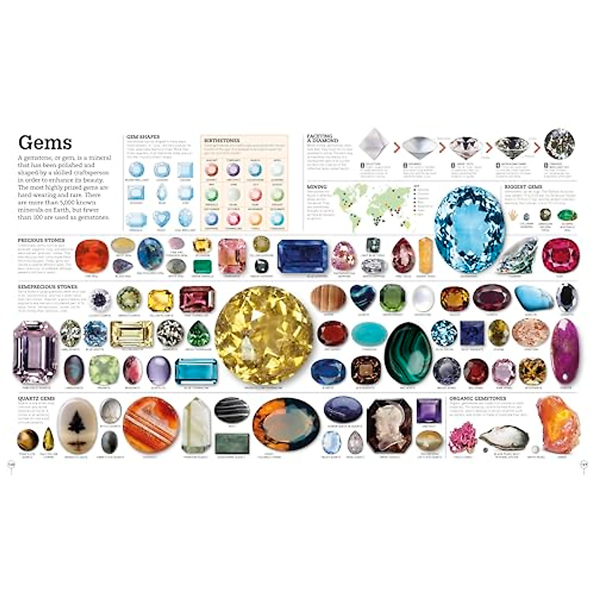 Picturepedia, Second Edition: An Encyclopedia on Every Page