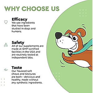 Wonder Paws Milk Thistle for Dogs, Liver Support for Dogs, Supports Kidney Function for Pets, Detox, Hepatic Support, with Wild Alaskan Salmon Oil & Curcumin, Omega 3 EPA & DHA - 2 oz Pet Supplement