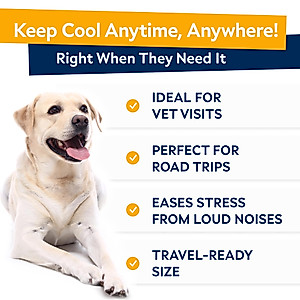 Hemp Calming Chews for Dogs - Dog Calming Treats - Anxiety Relief Treats - Dog Calming Chews - Stress - Sleep Calming Aid - Health & Wellness Supplements for Dog Separation Barking - 60 Treats