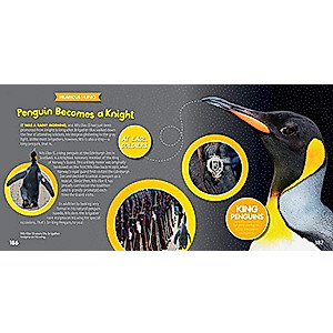 National Geographic Kids Funny Animals: CRITTER COMEDIANS, PUNNY PETS, and HILARIOUS HIJINKS