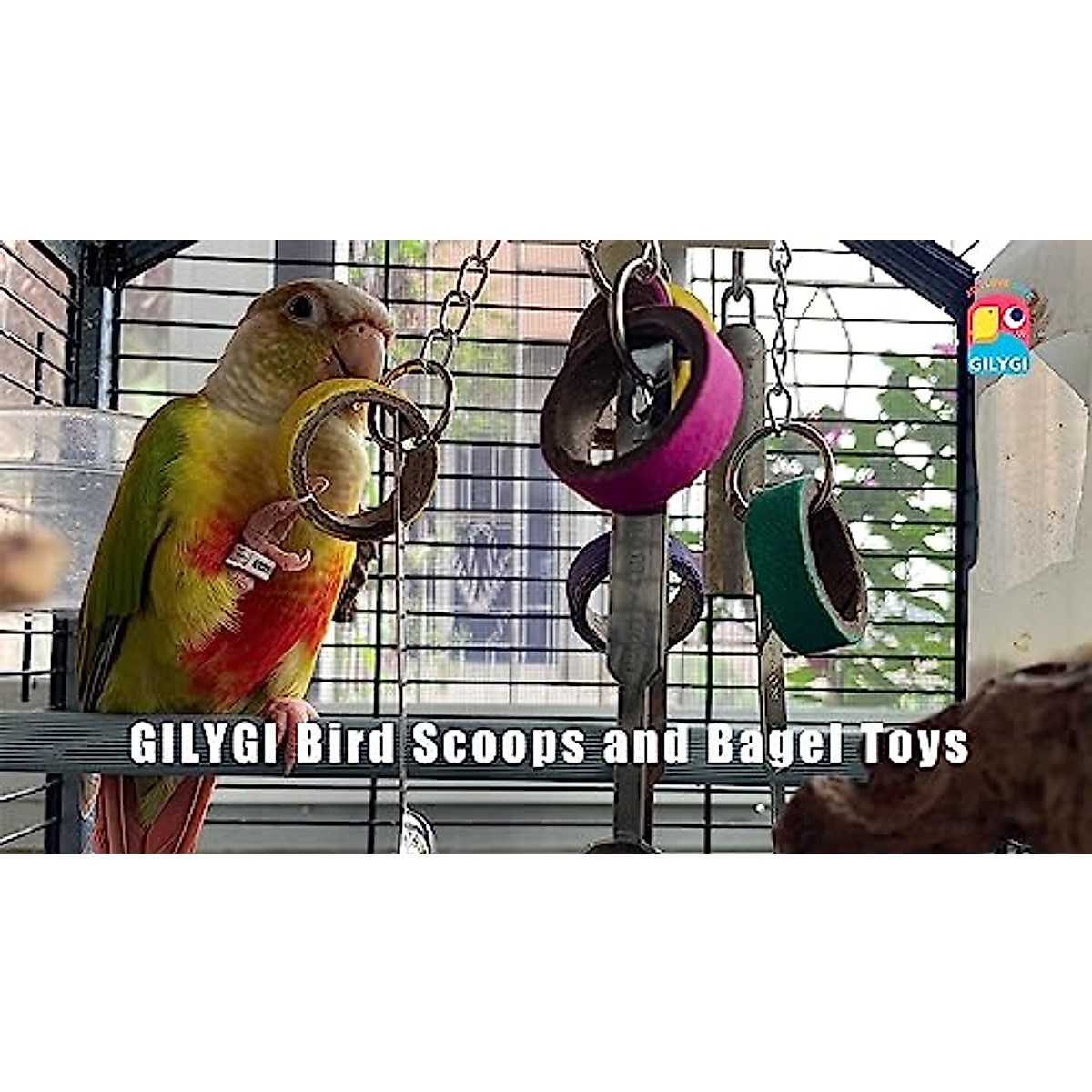 GILYGI Durable Bird Parrots Scoops and Bagel Toys, Pullable Stainless Steel Spoon and Cardboard Ring Toys for Small and Medium Bird Parakeets, Cockatiels, Conures, Budgie, Lovebirds, Finches