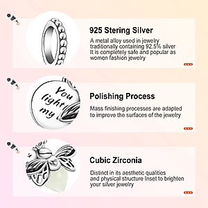 Annmors Jewelry Firefly Charm Glow in the Dark Charm 925 Sterling Silver Dangle for Woman Gifts for Bracelet Necklace