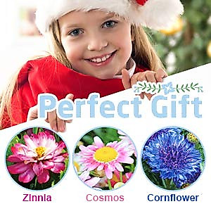 Kids Paint & Planting Flower Growing Kit, 27Pcs Childrens Gardening Plant Kits Arts & Crafts Garden Toy Set Birthday for Girls & Boys Age 4, 5, 6, 7, 8-12 Years Old