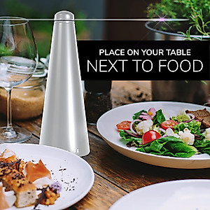 Modern Lyfe Fly Fan for Tables - USB or AA Battery Powered - Fly Swatter for Outdoor Dining Or Food at Parties, Restaurants, Outdoor Table, Fly Spinner, Keep Flies Away (1 Pack - Grey)