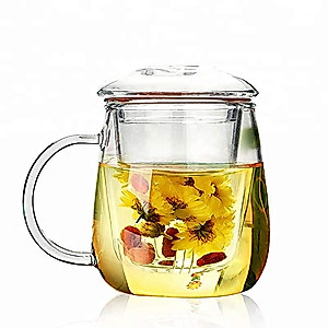 Glass Tea Mug Cup Kits with Tea Infuser Heat Resistant 500 ml Great Gift idea
