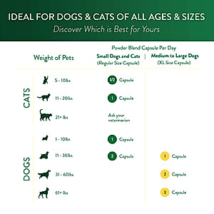 Ocu-GLO PB Vision Supplement for Medium & Large Dogs – Easy to Administer Powder Blend with Lutein, Omega-3 Fatty Acids, Grape Seed Extract & Antioxidants to Promote Eye Health, 90ct Powder Capsules