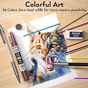 Nicpro 17PCS Metal 2mm Mechanical Pencil Set in Leather Case, 2.0 mm Lead Pencil Holders (4B 2B HB 2H 4H) 6 Tube Black Lead Refills & Colored Lead, Erasers,Sharpener For Art Drafting Sketching Drawing