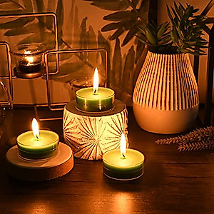 Zest Candle 12-Piece Tealight Candles, Mega Oversized Hunter Green s