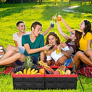 Senhuok 2 Pack Collapsible Storage Box 30L Folding Storage Bin with Lid Storage Container Shelf Basket Plastic Utility Crates Tote Clothes Toy Books Snack Shoe Grocery Storage Holder - Black