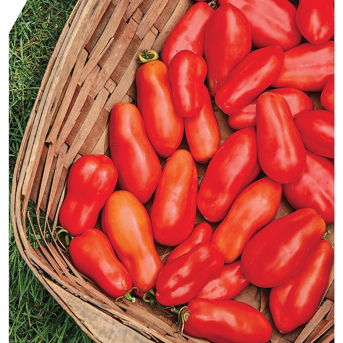 Burpee 'San Marzano' Heirloom, Paste Tomato, 75 Non-GMO Seeds