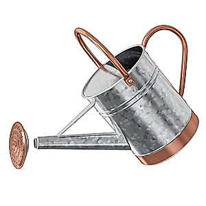 8pints 1 Gallon Watering Can for Outdoor Plants - Metal Watering Can for Outdoor Plants House Plant Watering Can with Sprinkle Head Perfect Watering Can Indoor Plants for Outdoor and Indoor Gardening