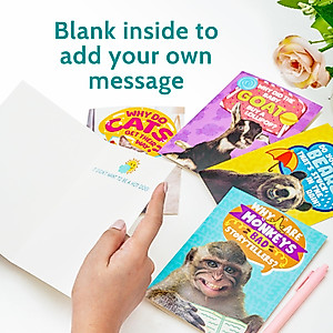 24 Funny Animal Joke Notecards With No Repeats - Humorous Bulk Cards Set - 4.5” x 6.25” Thinking of You Cards for Friends, Kids, Students, Teachers, Summer Camp and More