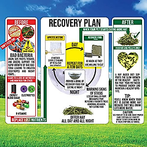 Sherwood Pet Health Rabbit Emergency Kit (Small) with Timothy Recovery Food and Appetite Restore in Stay-Fresh Packets