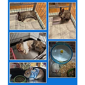 Comtim Pet Cooling Mat for Rabbit Hamsters, Self Cooling Mat Pad for Hamster Guinea Pig Chinchilla Kitten Cat and Other Small Animals, Pet Cool Plate Ice Bed - Perfect for Hot Summer Weather, S