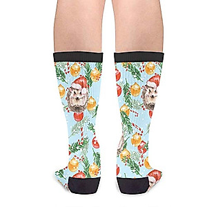 Lovely Christmas Hedgegog Socks Women & Men Breathable Novelty Moisture Control Running Crew Socks