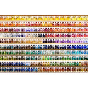 Sony FE 24-70mm F2.8 GM II Lens