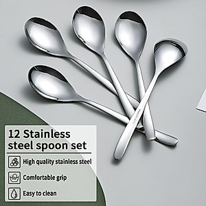 Kyraton Dinner Spoons Set of 12 Pieces, 8" Stainless Steel Table Spoons, Soup Spoons, Spoons Silverware Set, Dishwasher Safe