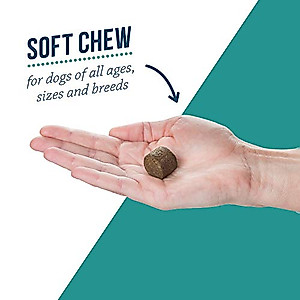 Alenza Soft Chews Aging Support for Dogs, 90 count, (86601710)