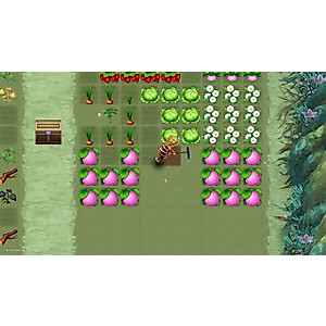 Rune Factory 3 Special - Nintendo Switch