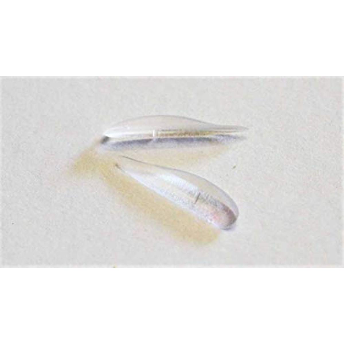 Lower Denture Stabilizers