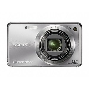 Sony Cyber-shot DSC-W290 12.1 MP Digital Camera with 5x Optical Zoom and Super Steady Shot Image Stabilization (Silver)