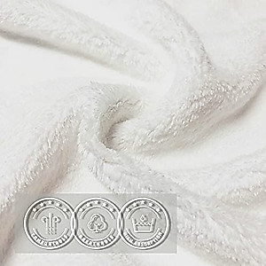 FFYHO Winter Snowflakes Hanging Kitchen Towel with Loop 2 Pack Christmas Red Hand Towels Soft Microfiber Coral Velvet Tie Towel Decor for Bathroom Oven Absorbent Washcloth