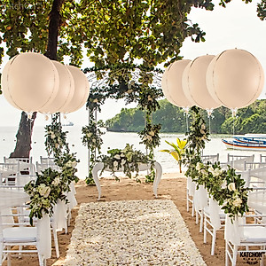 KatchOn, Big 22 Inch Beige Balloons Set - Pack of 6, Cream Balloons | Boho Balloons, Lace Balloons for Neutral Party Decorations, Beige Party Decorations | Ivory Balloons for Bridal Shower Decorations